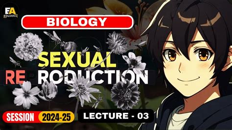 Microsporangium L Class 12 L Biology L Neet 2025 L Cbse Youtube