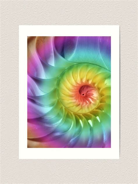 nautilus shell cross section symmetry spiral fibonacci sequence half slice natural pattern