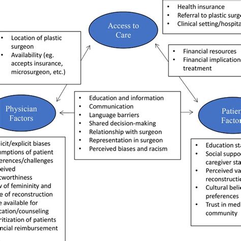 Preliminary Conceptual Framework Of Disparities In Breast