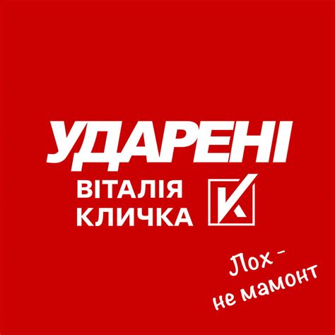 Ударені Віталія Кличка Миколаїв