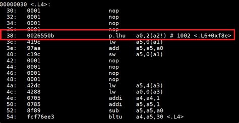 Compiler Behaves Unexpectedly Issue Pulp Platform Pulp Riscv