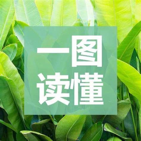 一分钟数读美丽中国建设（人民日报）转折性全局性历史性
