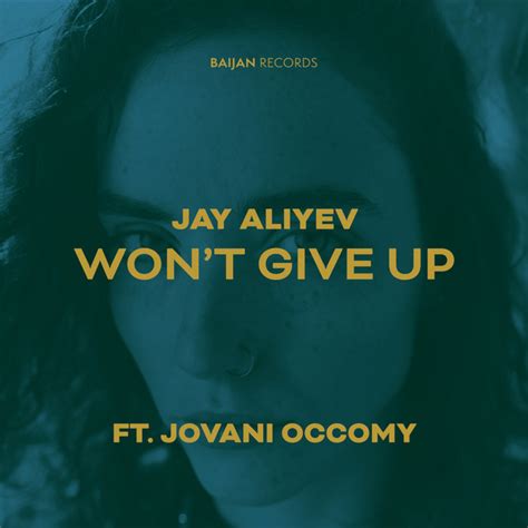 Wont Give Up Song By Jay Aliyev Spotify