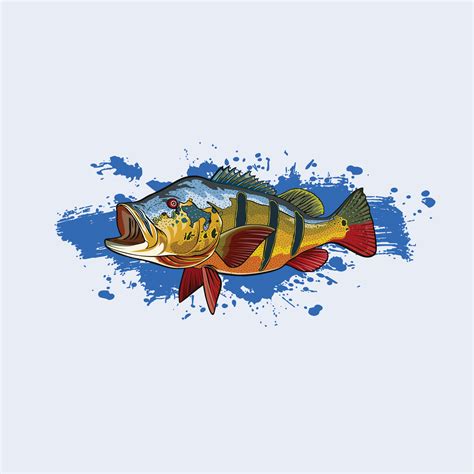 Vector Illustration Peacock Bass 24660196 Vector Art At Vecteezy