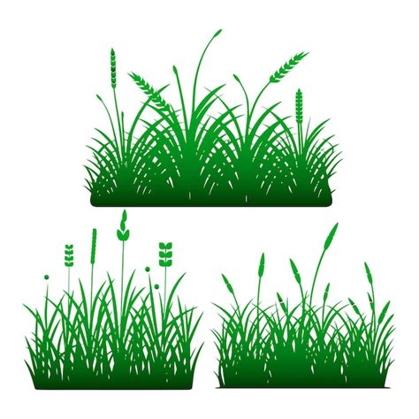 Premium Vector Green Grass Isolated On White Background