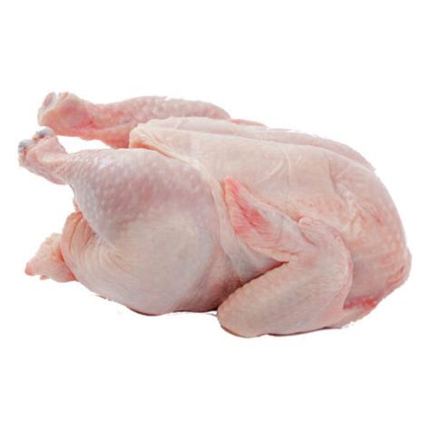 Home Frozen Meat Producer