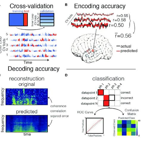Validation And Prediction A Cross Validation Is Used To Tune Download Scientific Diagram