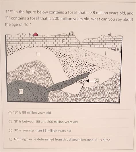 Solved If E In The Figure Below Contains A Fossil That Chegg