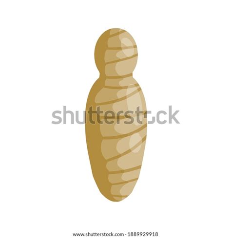 Mummy Coffin Sarcophagus Body Ancient Ruler Stock Vector Royalty Free 1889929918 Shutterstock
