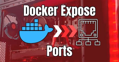Brandon Lee On Linkedin Docker Expose Ports Guide Step By Step
