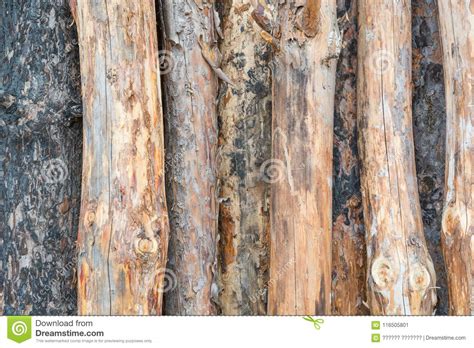 A Textura Dos Logs Fundo Dos Registros Madeira Do Fundo Muitos Logs De Madeira Imagem De Stock