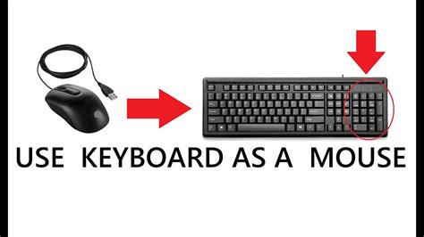How To Scroll On Discord Without Mouse Update New Achievetampabay Org