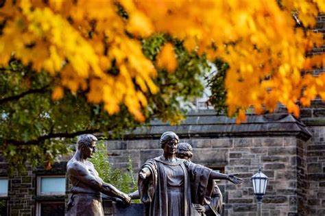 M Eng In Bioengineering Online Program Bioengineering Uiuc