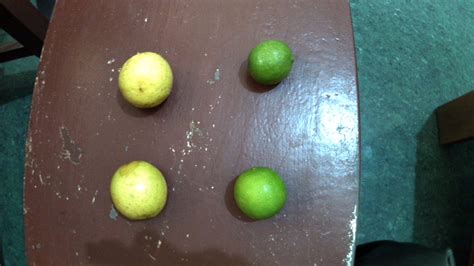 Lemon Dd Object Detection Dataset By Lemon