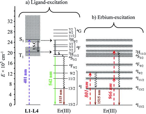 Jablonski Diagram Summarizing The Downshifting Processes Following A Download Scientific
