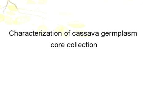 Characterization Of Cassava Germplasm Core Collection In Rayong