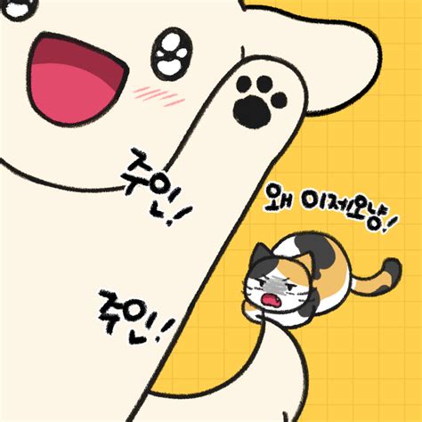 삼색 고양이와 리트리버의 천방지축 이야기 시작 비마이펫