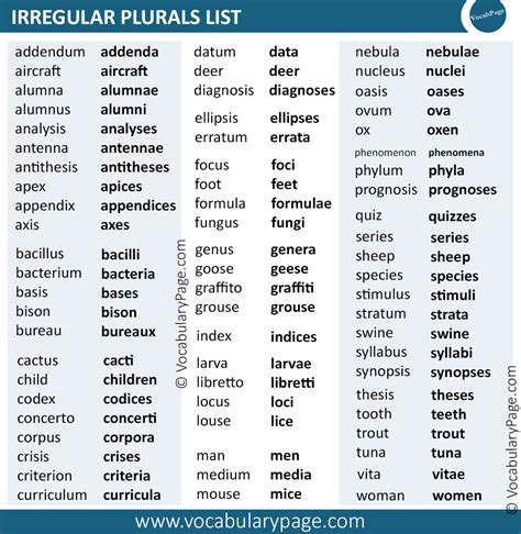 Irregular Plural Nouns