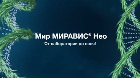 Мир МИРАВИС® Нео - YouTube