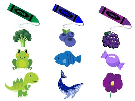 Color Sorting By Msks Store Tpt