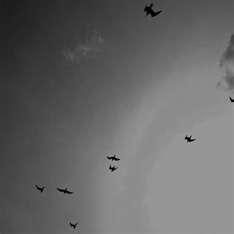 Stream White Columns By Colorcolumn Listen Online For Free On Soundcloud