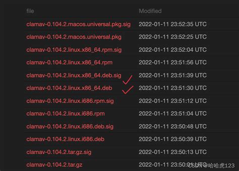 Sig 签名文件怎么使用sig文件 Csdn博客