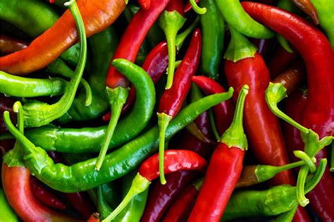 The Benefits Of Frozen Chillies Frucom