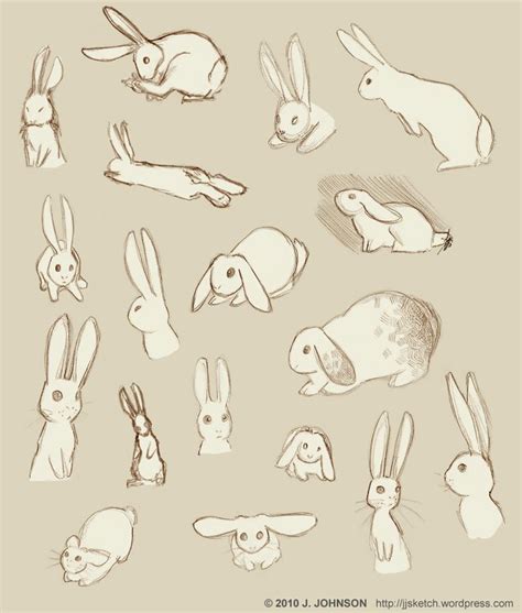 Rabbit Language Sketches Rabbit Drawing Bunny Sketches