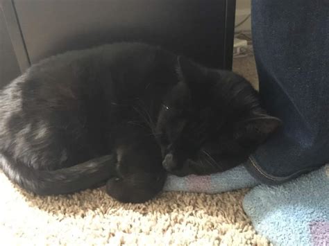 She Loves Feet R Aww