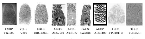 Figure 1 From Cross Sensor Fingerprint Matching Using Siamese Network