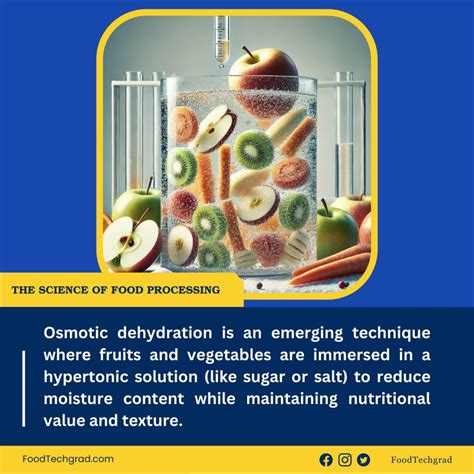 Osmotic Dehydration Is An Emerging Technique Where Fruits And Vegetables Are Immersed In A