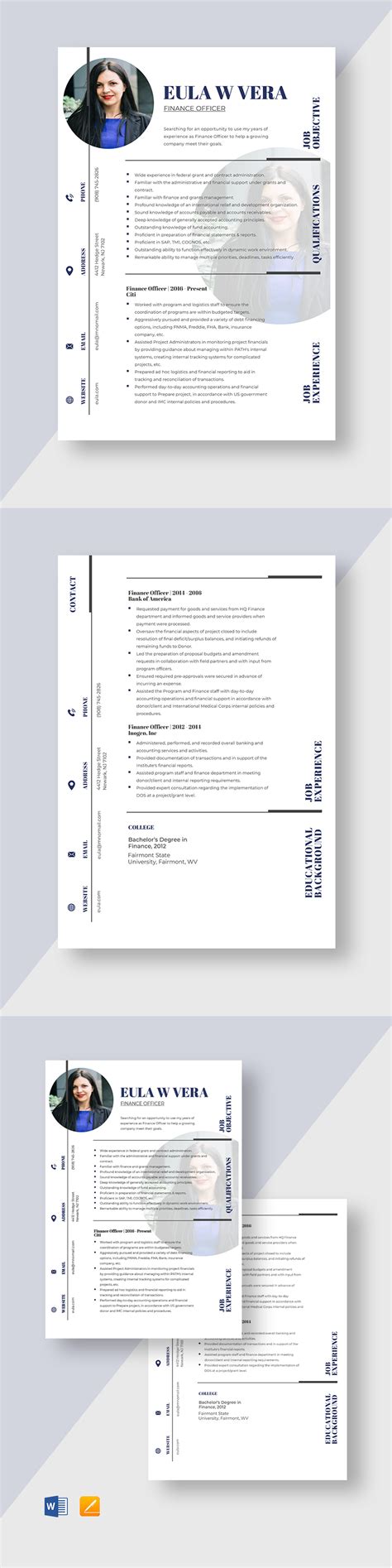 Finance Resume Template Word Apple Pages PSD PDF Publisher Template Net
