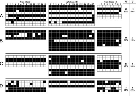 Sodium Bisulfite Sequencing Of A Selected Set Of Four Illustrative Download Scientific Diagram