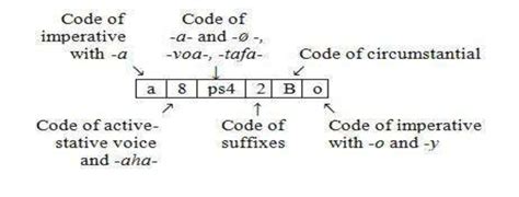 Fields Of The Code Of Affix Class Stem Classes And Affix Classes Are Download Scientific