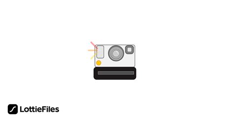 Free Instant Camera Flash Animation By Lucas Vervacke Lottiefiles