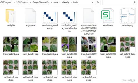 基于yolov8深度学习的葡萄病害智能诊断与防治系统【python源码pyqt5界面数据集训练代码】深度学习实战 阿里云开发者社区