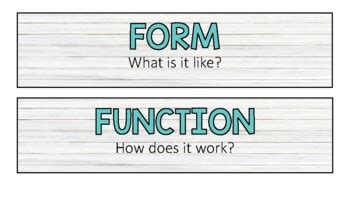 IB Concepts By Joyfully Teaching Elementary TPT