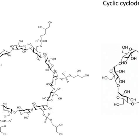 Cyclic Glucan Eps With Cyclodextrin Like Host Guest Properties A