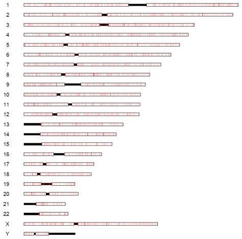 GitHub Qizongtai LINE Gemomic Alignment And Clustering Pipeline V For Analysis Of LINE