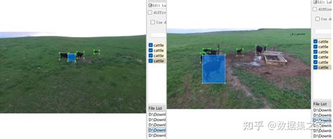 【数据集】【yolo】【目标检测】牛只识别数据集 3371 张，yolo牛只识别算法实战训练教程，yolo牛只识别毕业设计。 知乎