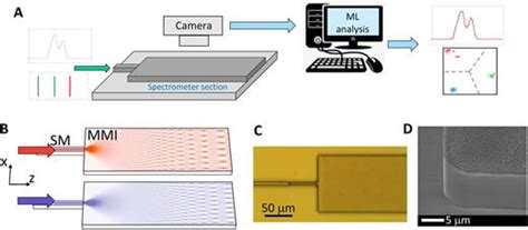 Multi Mode Interference Waveguide Chip Scale Spectrometer Invited