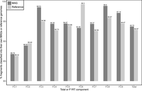 Reconstruction Validation Based On The Whole Mag Composition By Tetra Download Scientific