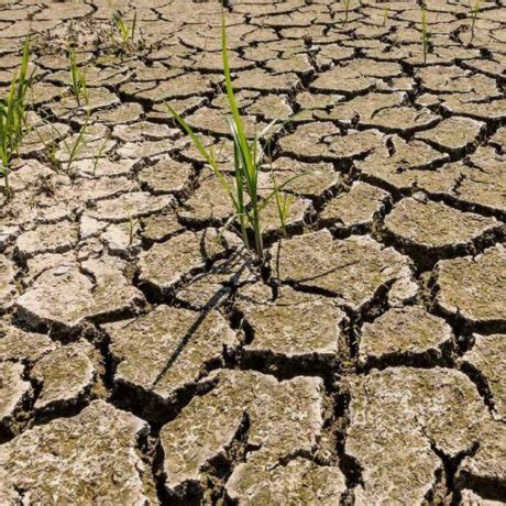 Ouverture De La Cop Environ Pays Cogitent Pour Relancer La Lutte Pour Le Climat