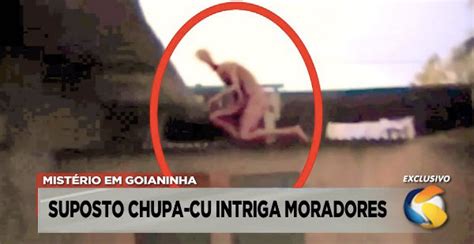 Chupa Cu Cryptid Wiki Fandom Powered By Wikia