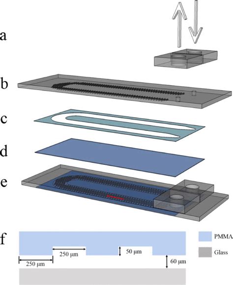 Exploded View Of The Microfluidic Device A Pmma Connectors B Pmma Download Scientific