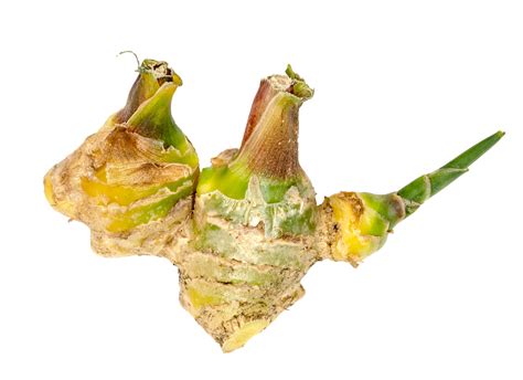 Closeup Fresh Ginger Isolated Png