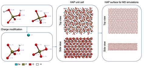 Figure S1 Procedure Used In This Manuscript To Modify Surface Charges Download Scientific