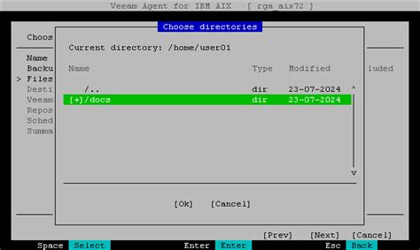 step 4 select directories and files to back up veeam agent for ibm