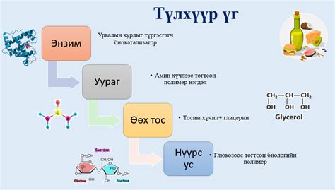 Мэдлээ Цахим контент