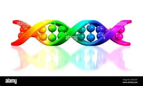 Dna Molecule Computer Artwork Showing A Double Stranded Dna Deoxyribonucleic Acid Molecule